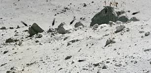 Solar System Anomalies | Decrypted Matrix