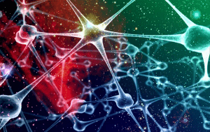 Researchers Finally Show How Mindfulness and Your Thoughts Can Induce ...